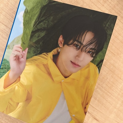 Seventeen Official Heaven Carat Album Photocard / Carat Binder and PC ...