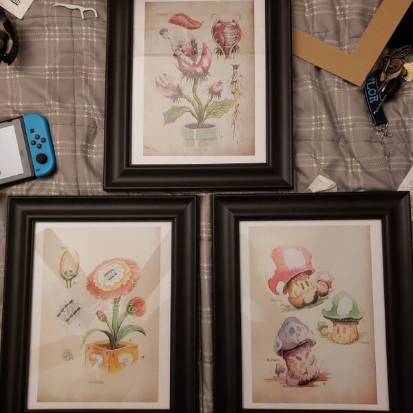 SET of 3 - Super Mario Botanical Illustration 8.5" X 11" Art Prints ...