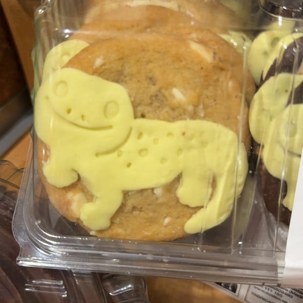 Gecko Cookie Cutter, Leopard Gecko Gifts, Lizards Kids Party Ideas ...