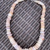 Hawaiian Clam Shell, Beautiful Natural Display of Hawaii, Great for ...