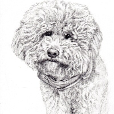 Custom Dog Pet Portrait Graphite Pencil 8x10 - Etsy