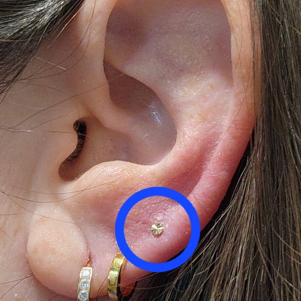 14K Solid Gold Double Nose Hoop 16G 18G 14g/cartilage Hoop/helix ...