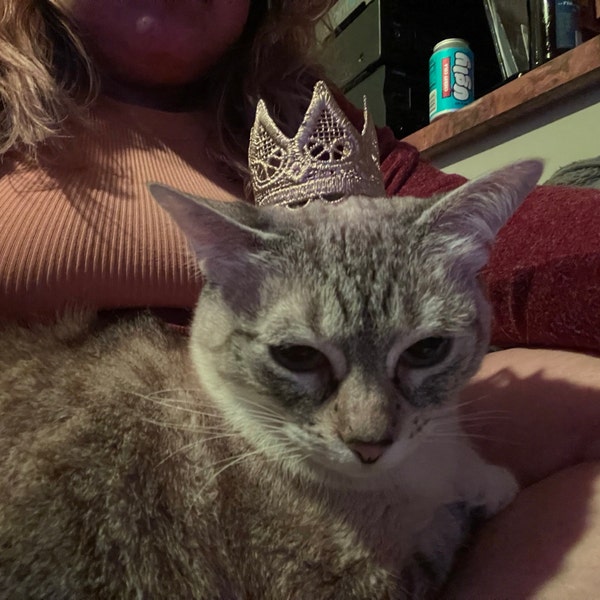 Cat Crown Tiara | Mini Gold Lace Crown for Cats & Small Pets | Kitten ...