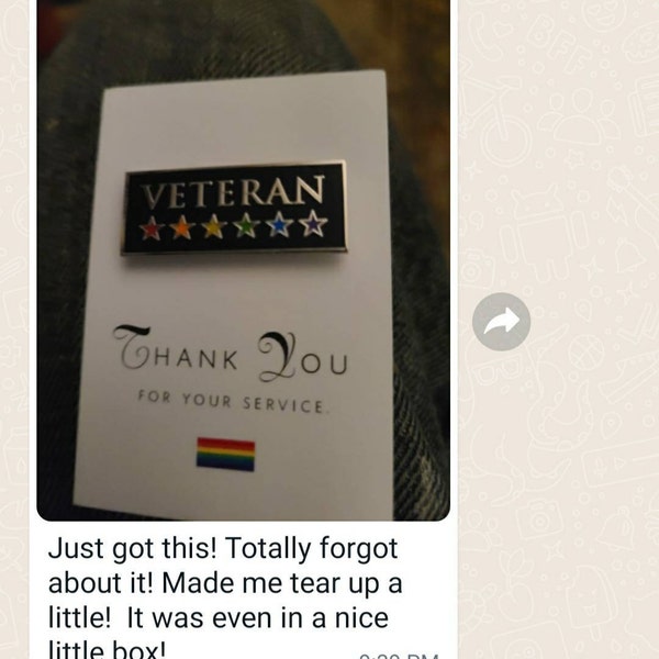 LGBT Veteran Pin -- Rainbow Veteran Pin -- Hard Enamel Pin -- LGBTQ ...