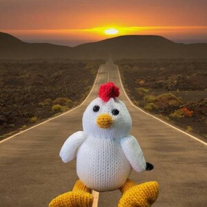 Chicken Knitting Machine Pattern PDF ONLY Addi Sentro - Etsy