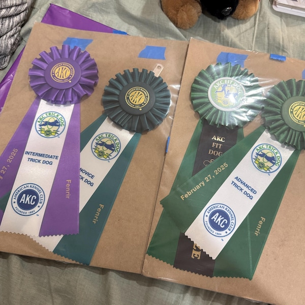 AKC Virtual Rally Title Ribbon Rosette - Novice, Intermediate, Advanced ...