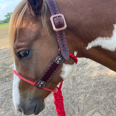 Custom Cattle Rope Halters - Etsy