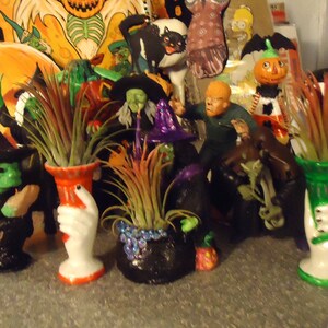 Air Plant Xeric Variety Mix of 10 Airplant Tillandsia | Etsy