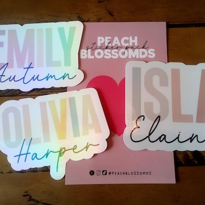 Personalized Name Sticker, Custom Name Sticker, Colorful Name Sticker ...