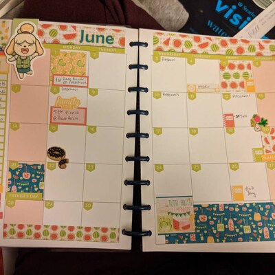 Happy Planner June Stickers, June Planner Kit, June Happy Planner, June ...