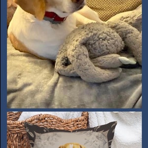 Whimsy Puff Hedgehog Pillow, Cottagecore Charm, Sage Floral Hedgehog ...