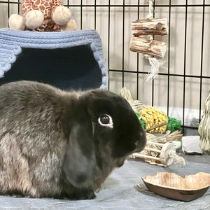 Custom Felt Pennant Flag Personalized Name - Etsy