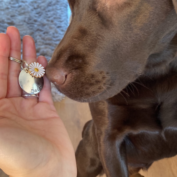 Daisy Dog Tag, Personalised Dog Tag, Dog Tag With Name, Small Dog Tags ...