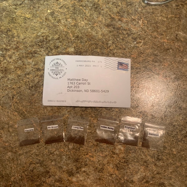 Chewing Tobacco Seed Pack- 3 Varieties for Chew & Dip 3,000+ Seeds - Etsy