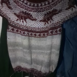 Stego Sweater adult Pattern, Knit Dinosaur Unisex Sweater, Digital PDF ...