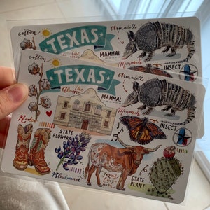 Louisiana Notebook State Symbols Blank Journal New Orleans | Etsy