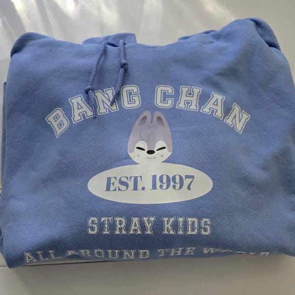 Cute Stray Kids Members Chibi T-shirt, Stray Kids Shirt, Stray Kids ...