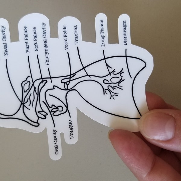 Holographic Flute Sticker, Holo Decal, Piccolo, Instrument, Woodwind ...