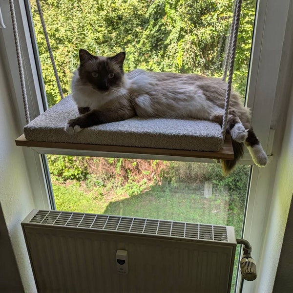 Cat Window Perch, Cat Hammock, Cat Window Bed, Wood Cat Shelves ...