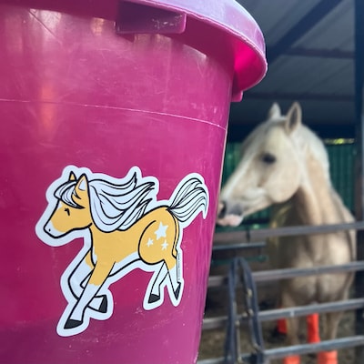 Pink Daisy Western Cowgirl Cowboy Boot Bubble-free Stickers Moon Flower ...