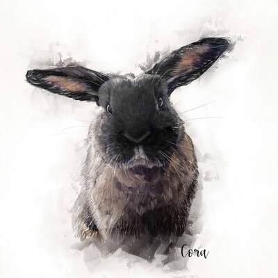 Custom Bird Portrait Beautiful Pet Artwork Custom Parrot - Etsy