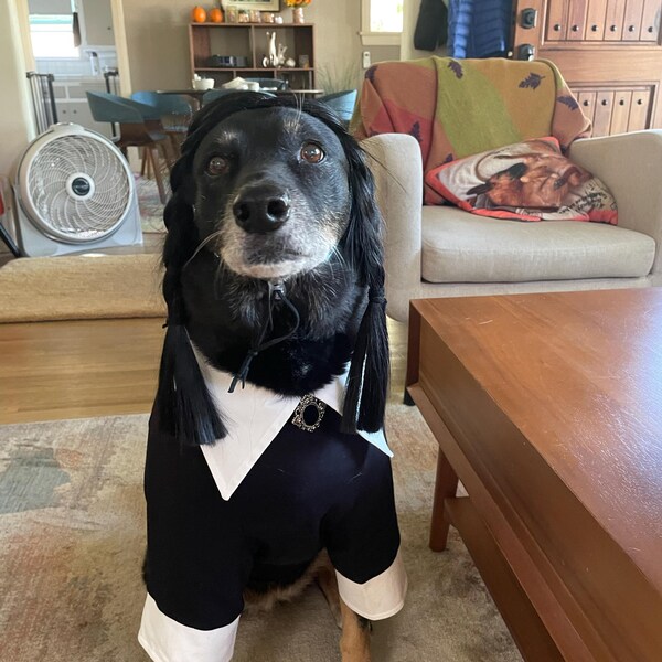 Korean Gat Hat, Korean Traditional Headpiece, Beads Chains, Cute Hanbok ...