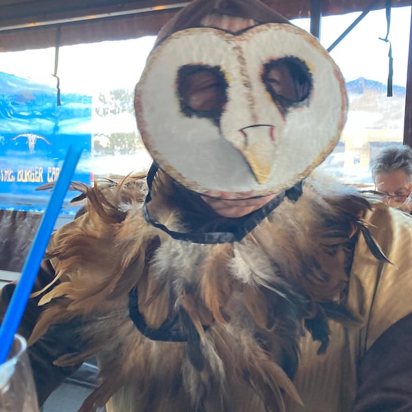 Barn Owl Masks for Halloween Costume, Creepy Adult Masquerade, Animal ...