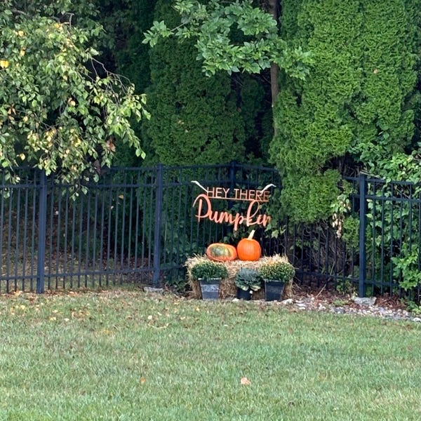 Angel Wings Corrugated Tin, Metal Angel Wings, Corrugated Metal Signs ...