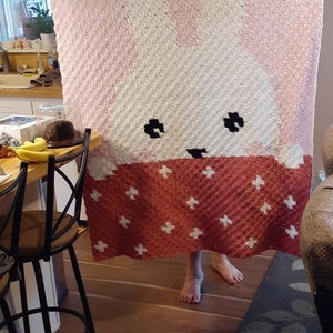 C2C American USA Flag Crochet Pattern With Written/color - Etsy