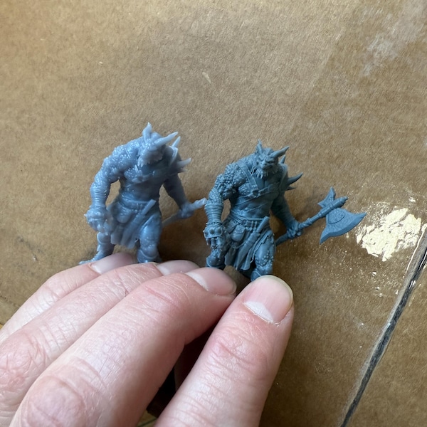 Flag Bearer, Bannerman, Fighter, Cloak, Spiked Plate, Chain Mail, Spear ...