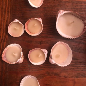 Sanibel Seashell Centerpiece With Candle - Etsy