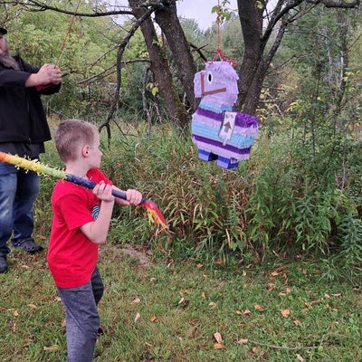 Don Julio Bottle Birthday Pinata Tequila Bottle Piñata 21st Birthday ...