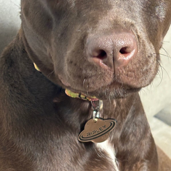 Personalized Planet Saturn Dog Tag, Space Id Tag , Rocket Dog Tag ...