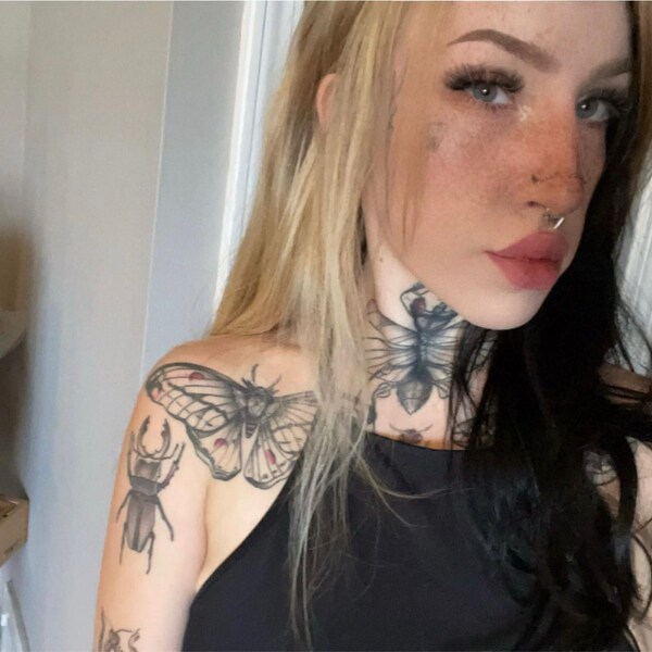 Customizable Bat Lashes | Colorful Eyelashes | Halloween | Beauty ...