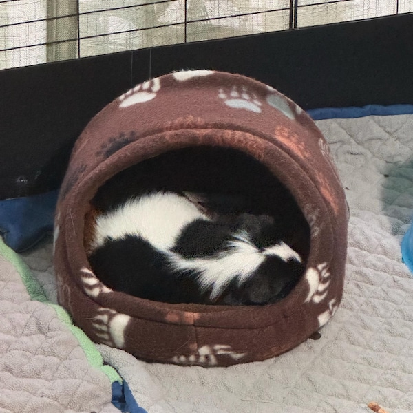 Customizable Guinea Pig Hideout | Washable, Unique Shape | 200+ Fabric ...