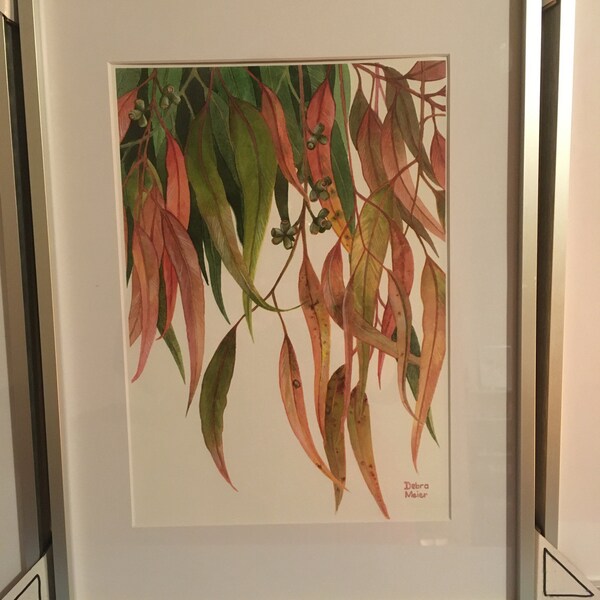 Gumleaves Print by Debra Meier Art, Australian Native Art Print ...