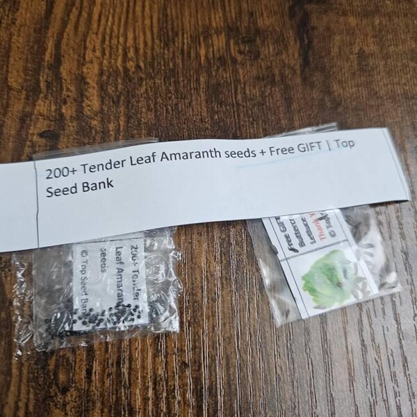 Asian Edible Luffa Seeds, Smooth Sponge Gourd, Muop Huong + Free GIFT ...