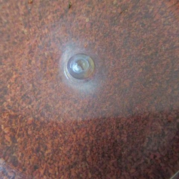 Grass Tufts 4-6 Mm Meadow Grass Professional Irregular and Truthful ...