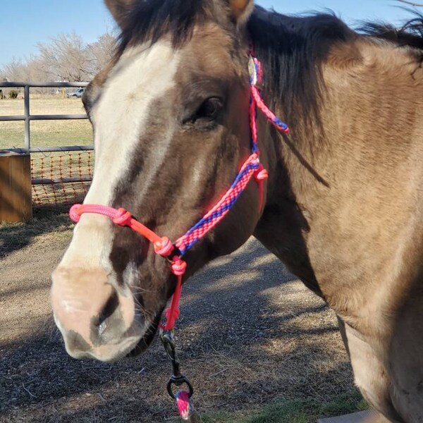 Rope & Braided Halter Weanling Size,weanling Halter,foal Halter,horse Halter,pony Halter - Etsy
