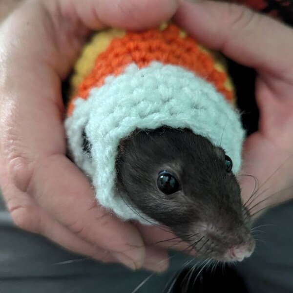 Hamster Castle for Small Animal Hide House for Pet Rodent Cage ...