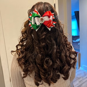 Handmade.mexico Flag Hair Bow. Mexico Hair Bow . Mexico Bow. Mexico ...