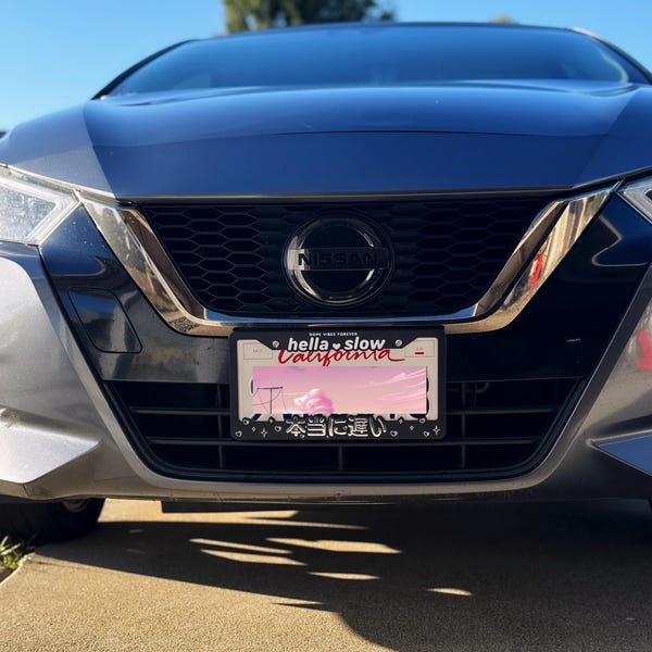 Hella Slow License Plate Frame | Chrome - Etsy