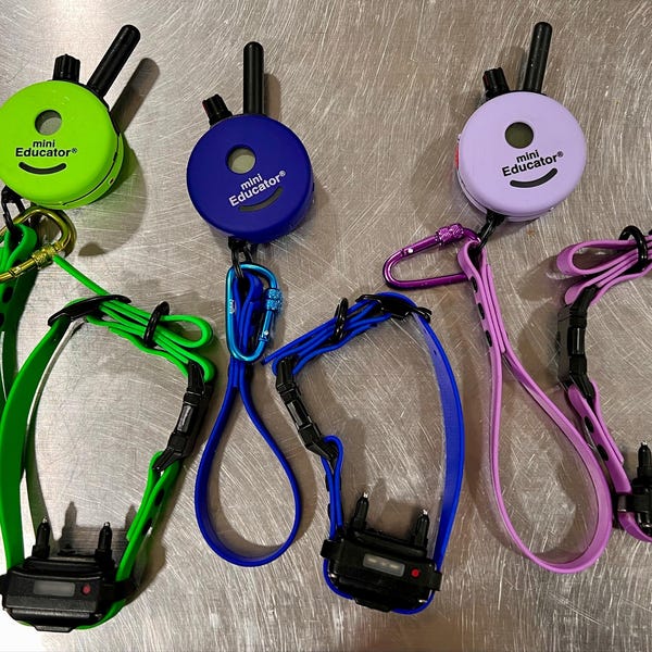 Funny Sayings Tag, Lightweight Tag, Funny Tag, Fun Dog Tag, Aluminum ...