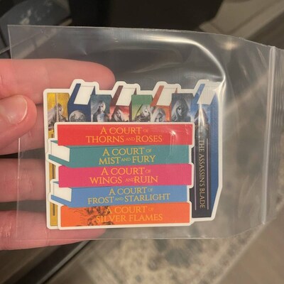 My House My Chair My Woman Sticker, Bookish Sticker, Fourth Wing, Iron ...