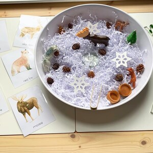 Frog & Toad Pack Printable Life Cycle Posters Watercolor Flash Cards ...