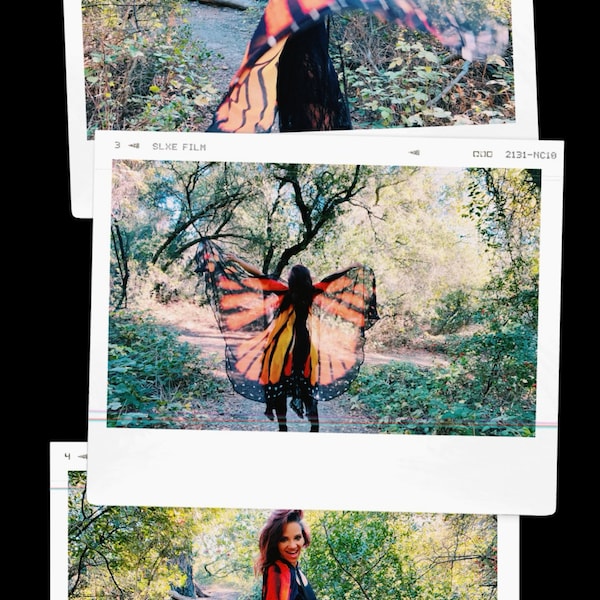 Butterfly Wings Monarch Cape Costume Adult Fairy Wings Chiffon Belly ...