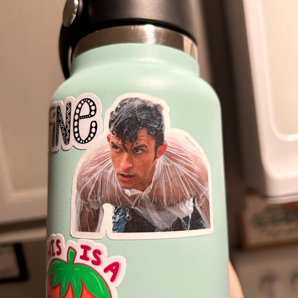 Conrad and Jeremiah Fisher Sticker / the Summer I Turned Pretty Sticker ...