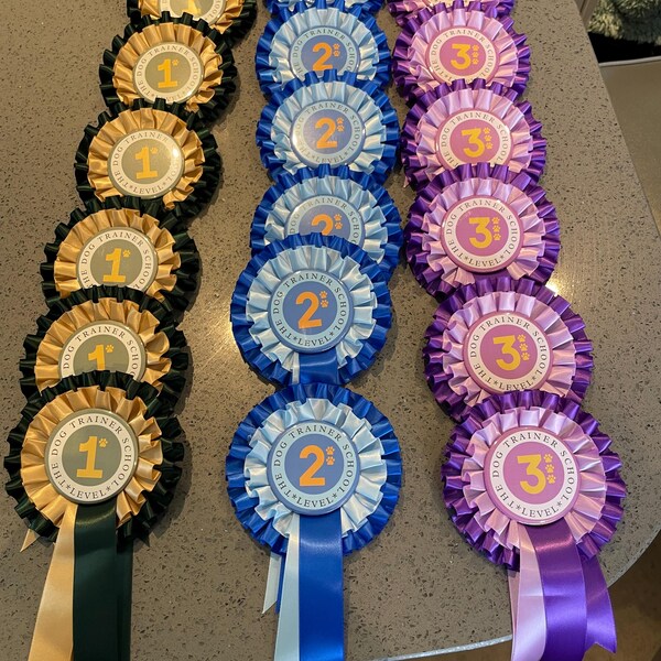 Customised Hen Night Rosettes or Bachelorette Party Rosettes, Bride to ...