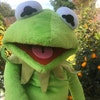 Funny Green Frog Puppet Professional Puppet Hand Puppet Glove Puppet - Etsy
