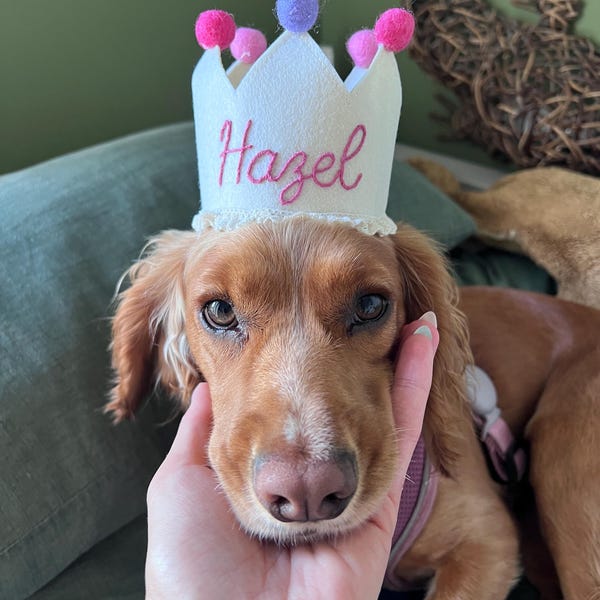 Embroidered Birthday Crown for Dogs, First Birthday Crown for Dog ...